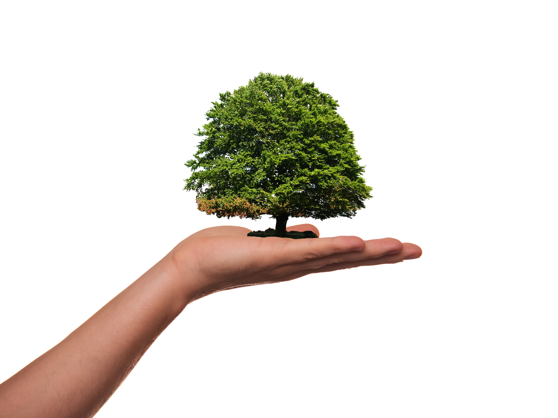 Save Green Project – B&E Energy Solutions